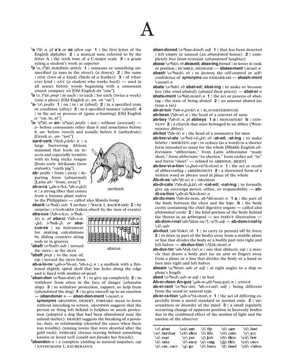 Merriam-Webster's Intermediate Dictionary – Merriam-Webster Shop